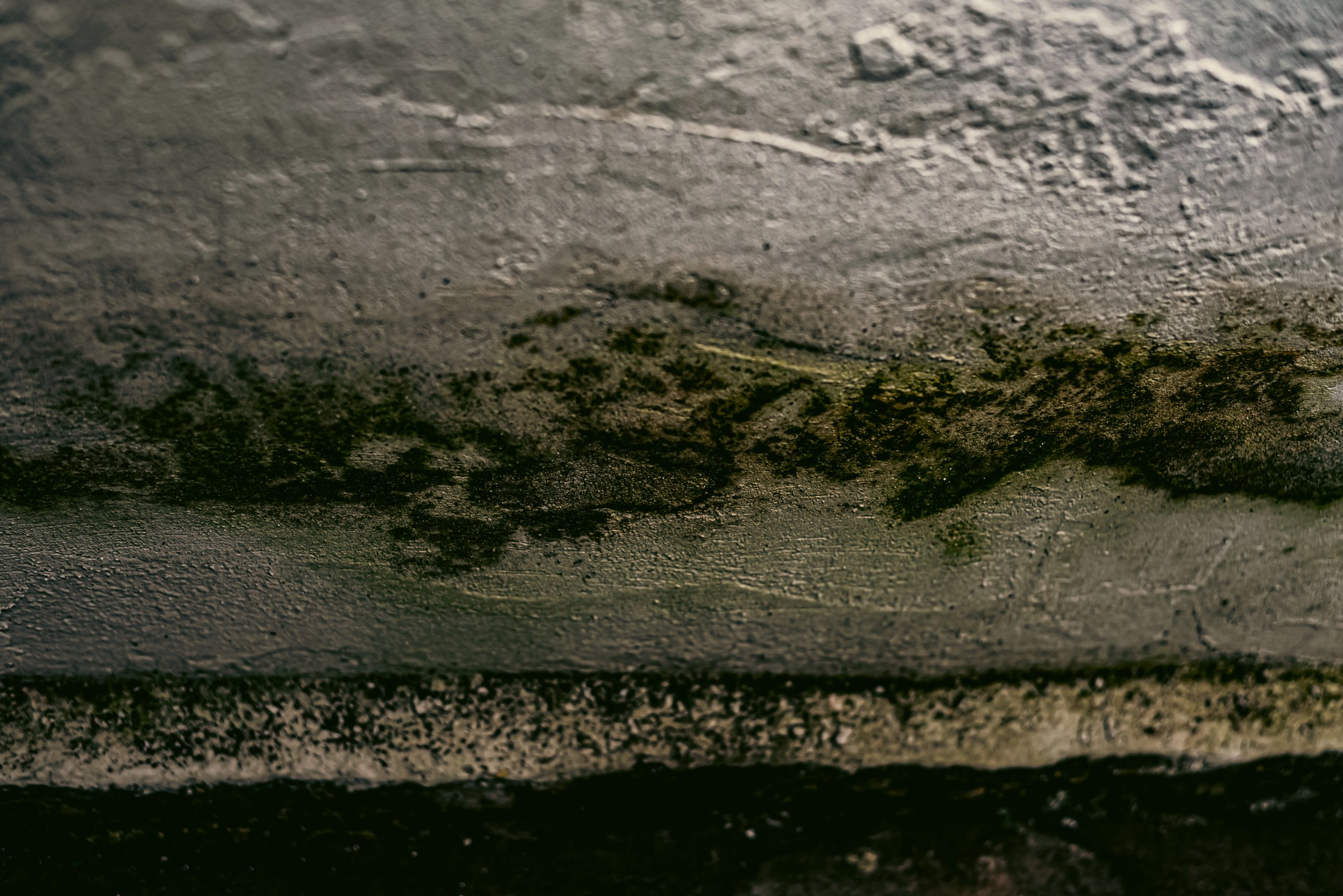 Mold In Homes And Its Impact On Housing: A Call For Action ...